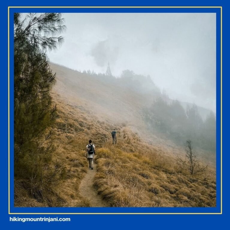 Discover the Majestic Rinjani National Park Your Ultimate Guide to ...