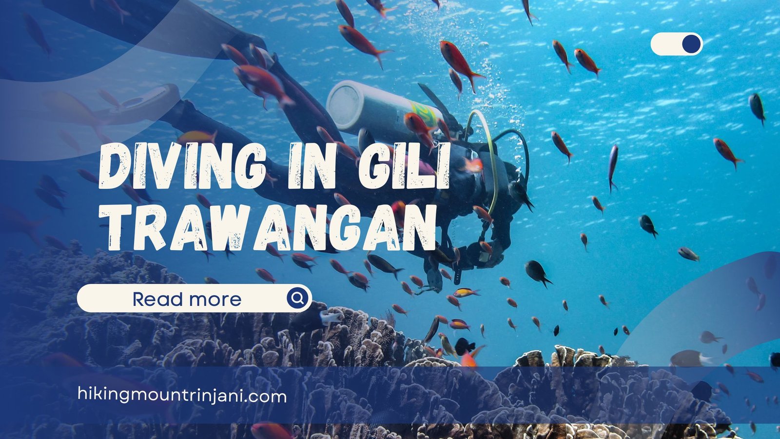 Diving in Gili Trawangan! Your Gateway to an Aquatic Wonderland ...