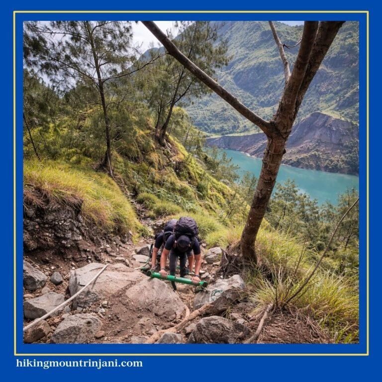Is Mount Rinjani Closed Now? Take Note of the Reopening Date! - Hiking ...